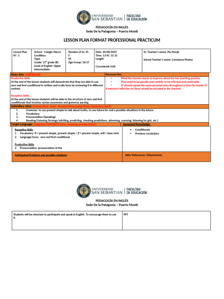 PProf. Lesson Plan Format3B | PDF