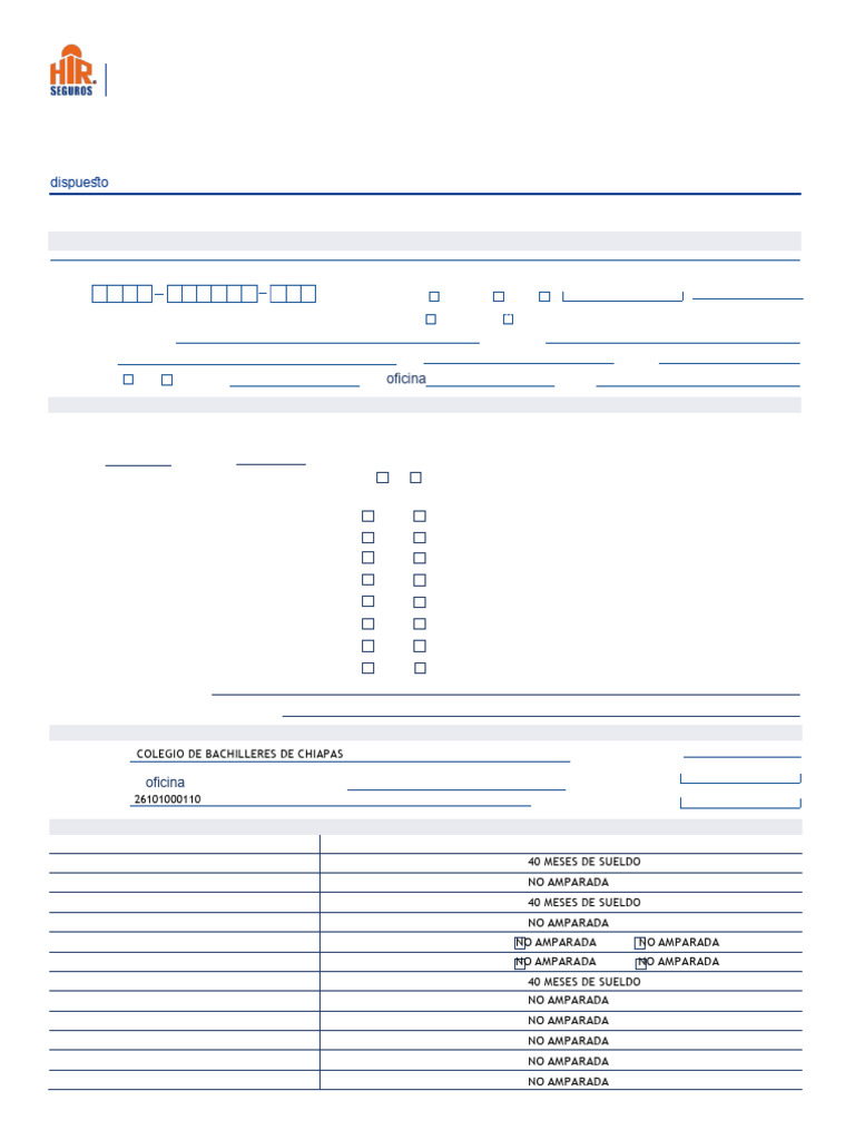 Formato Hir 2024 Pdf Pdf