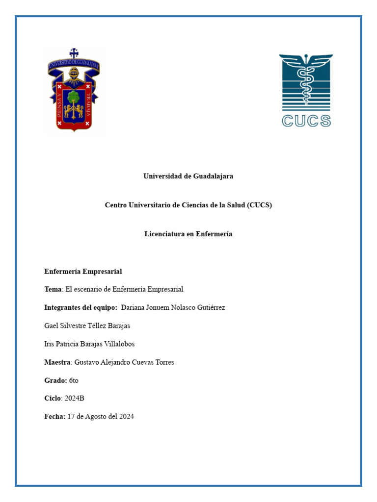 Escenario Enfermeria Empresarial. | PDF