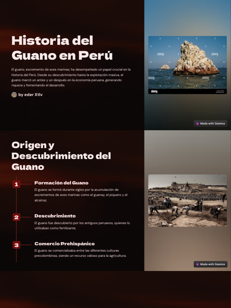 Historia Del Guano en Peru | PDF