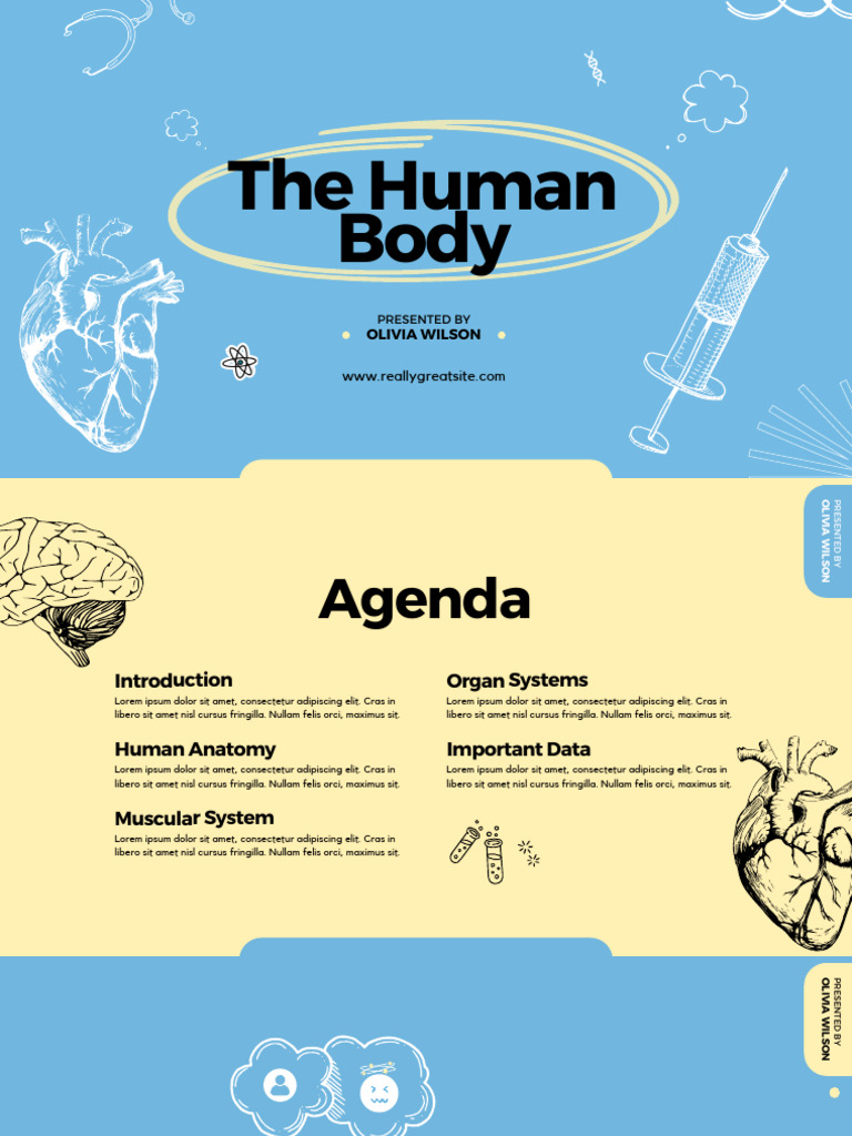 human | PDF