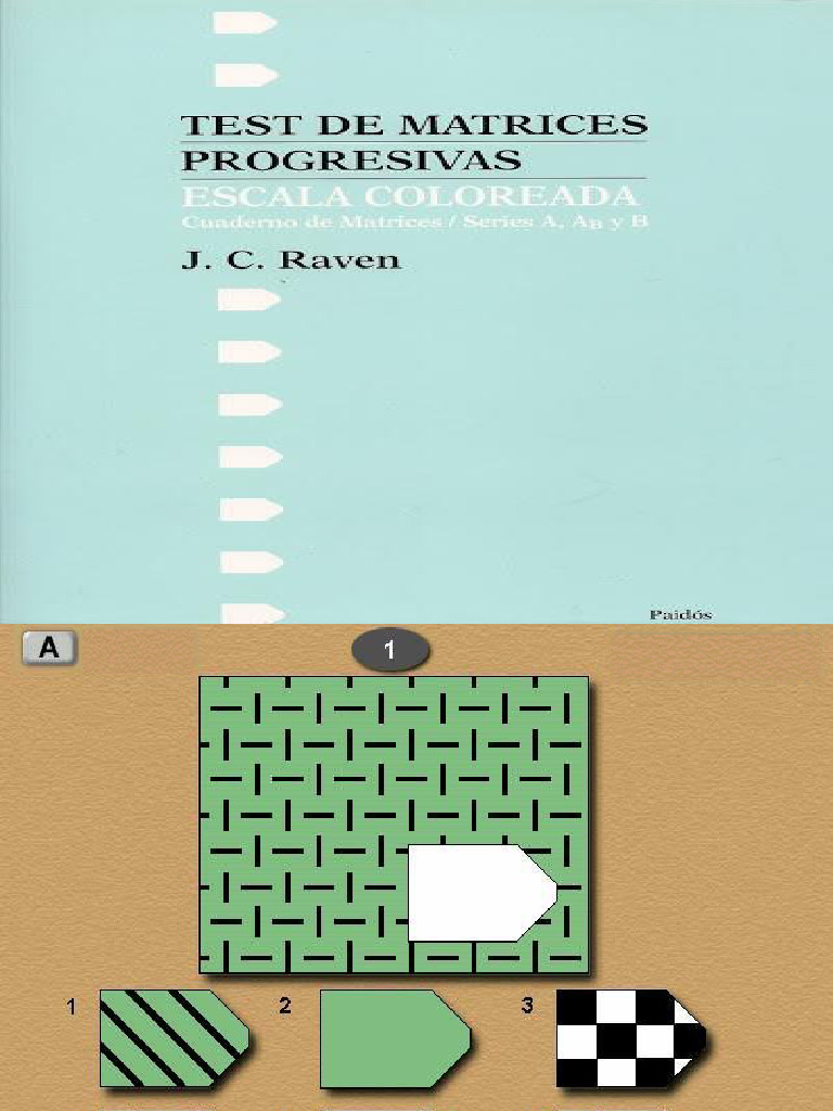 Test - Raven Matrices Progresivas Coloreado | PDF