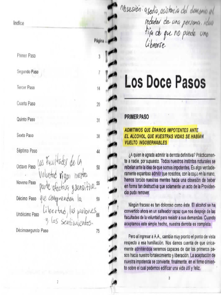 Los Doce Pasos AA - Rotated (1) - 095455 | PDF