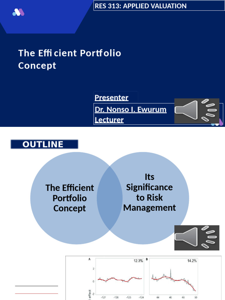 Concept of an Efficient Portfolio | PDF
