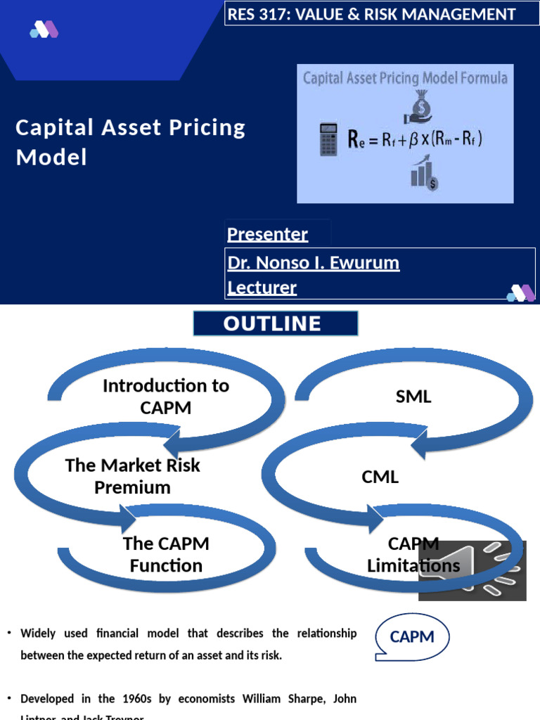 CAPM | PDF