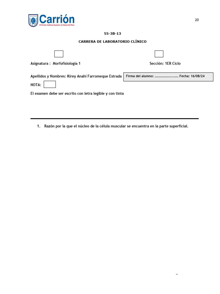Examen Morfo 3a | PDF