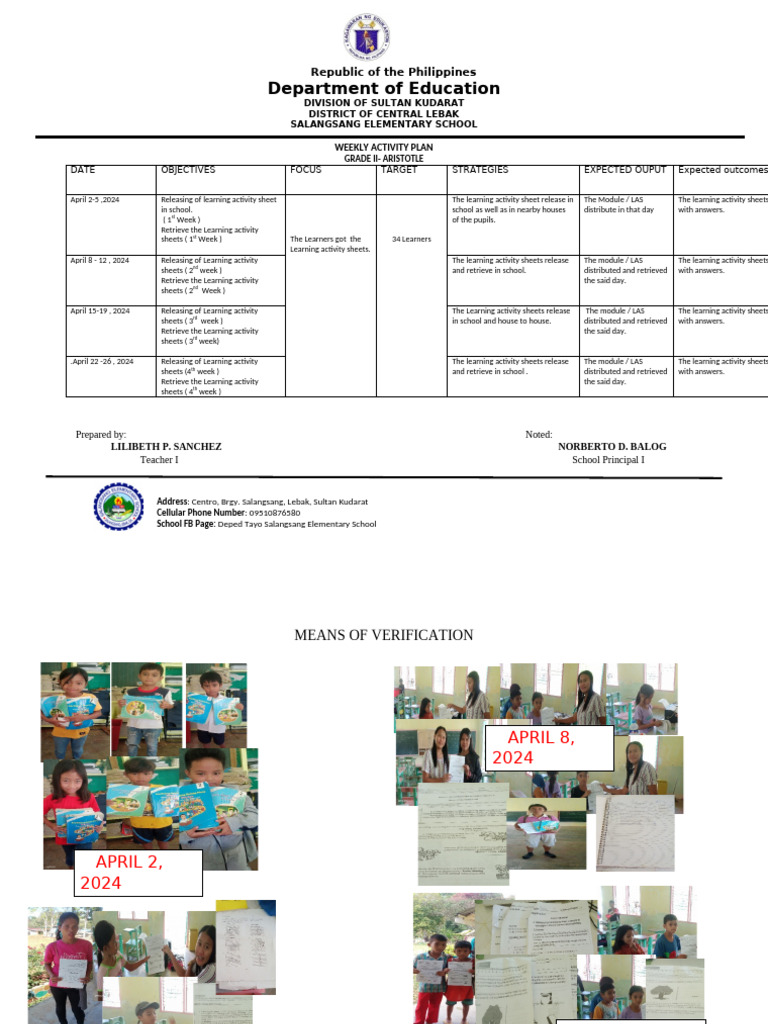 Weekly Activity Plan 2024 | PDF