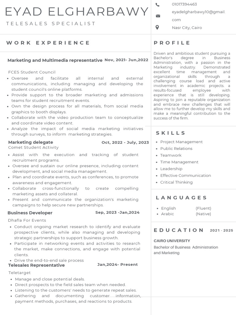 Eyad Ahmed CV | PDF