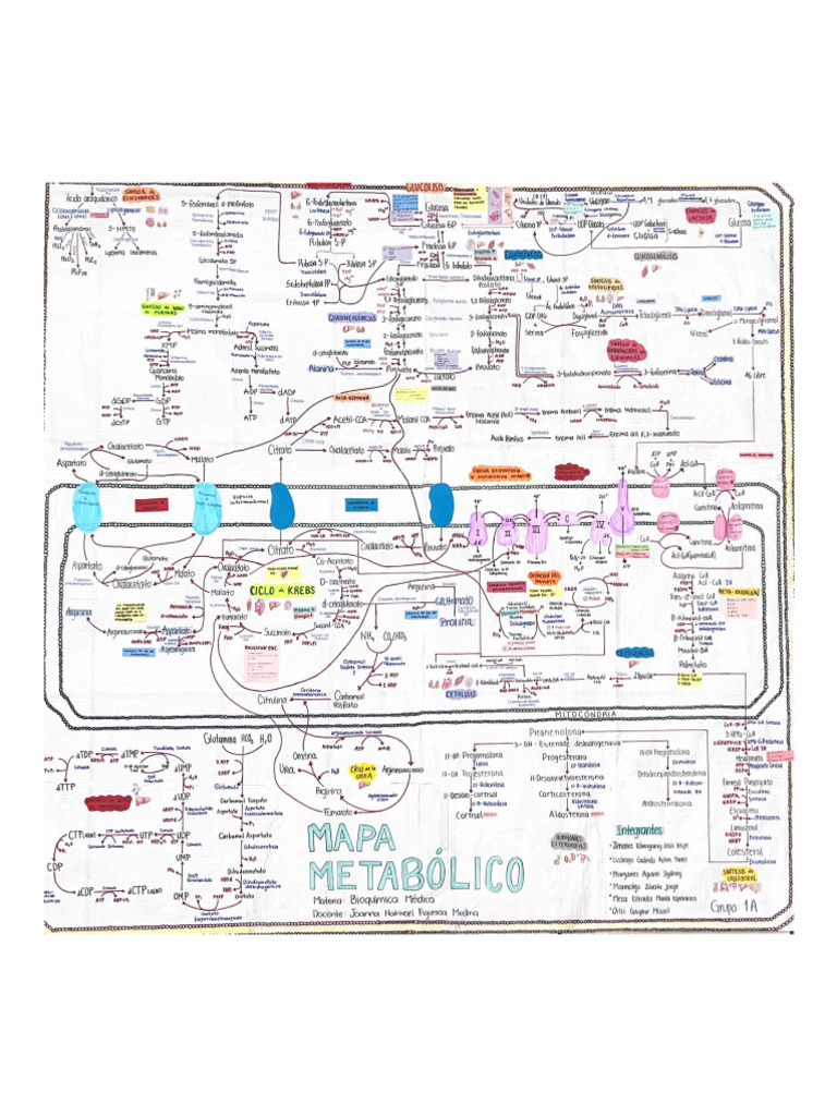 Mapa Metabólico | PDF