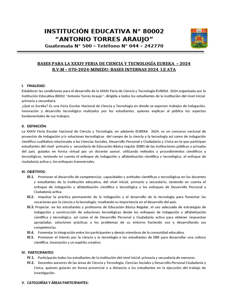 Fencyt - Bases Internas 2024 | PDF