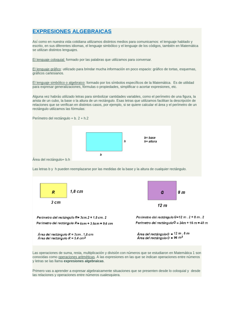 13-05 C1V Expresiones - Algebraicas | PDF