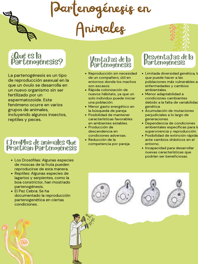 Poster CT | PDF
