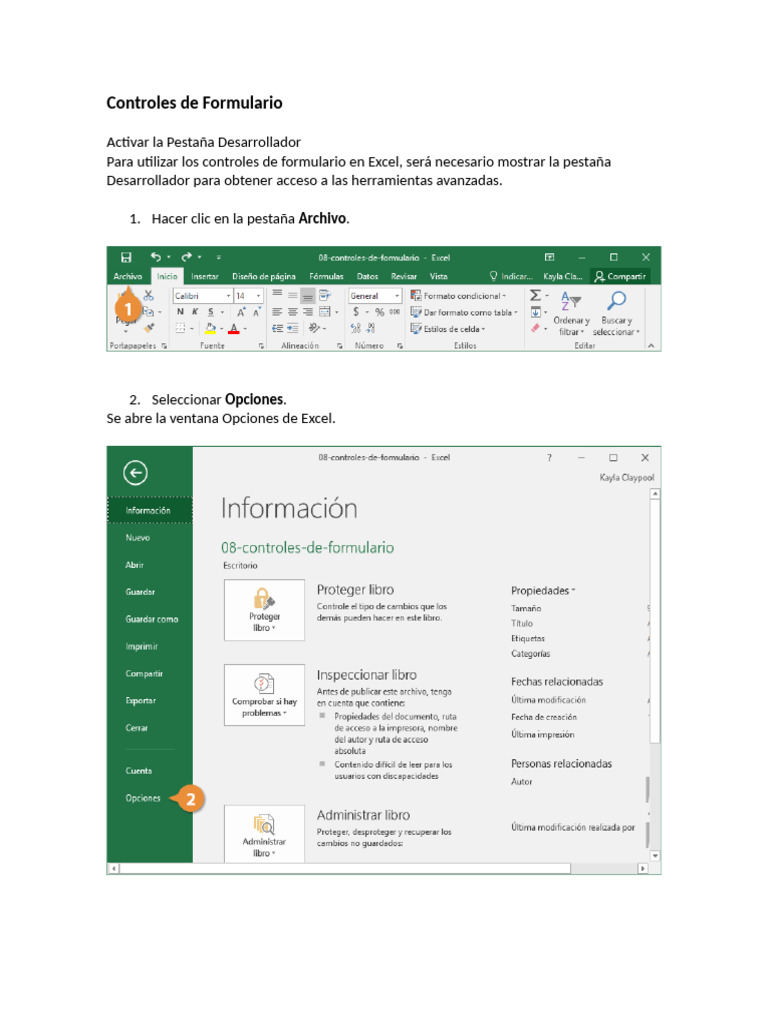 Controles de Formulario Macros Inicial Excel | PDF
