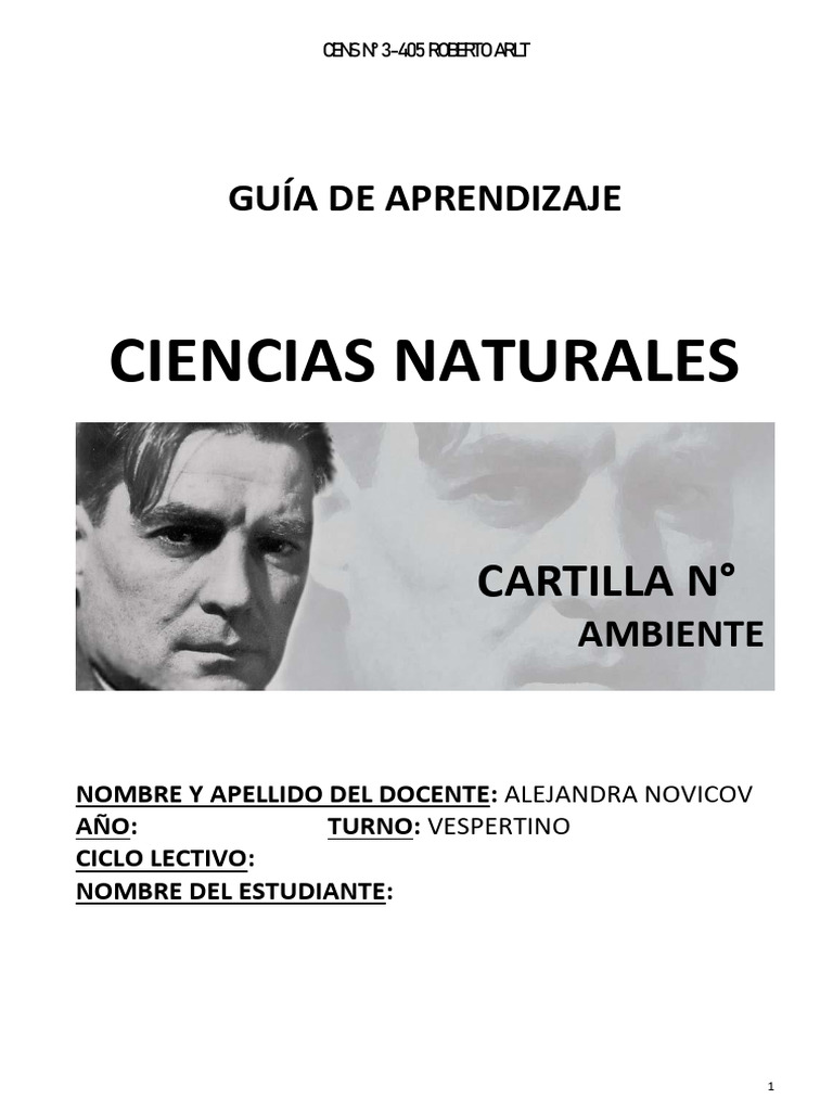 Guía de Aprendizje N°1 - Ambiente | PDF