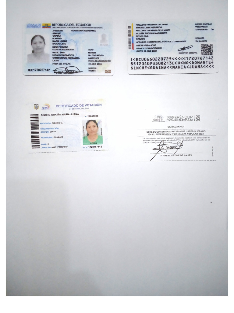 ACE Scanner_2024_07_30(1) | PDF