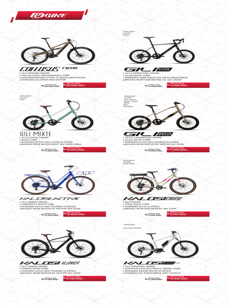 Polygonbikes Corporate Employee Purchase Program Bikes | PDF