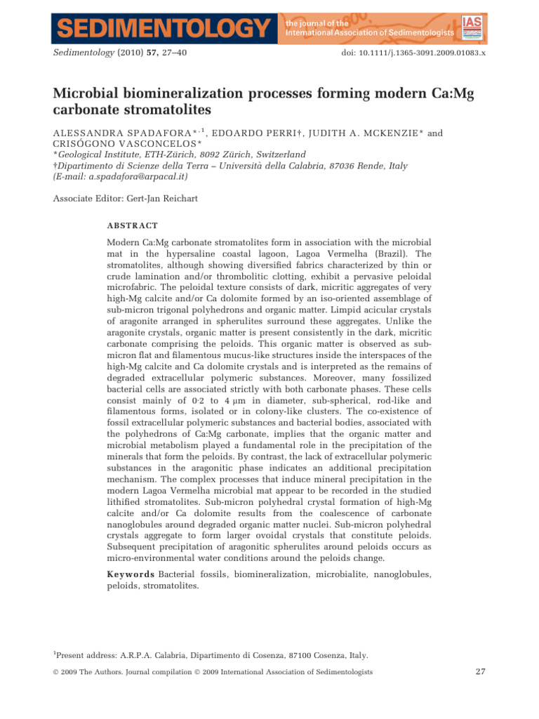Microbial Biomineralization Processes Fo | PDF