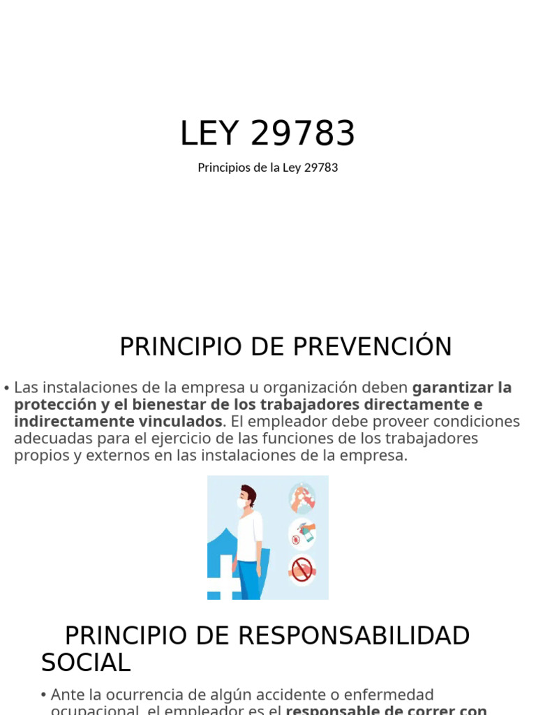 Ley 29783 | PDF