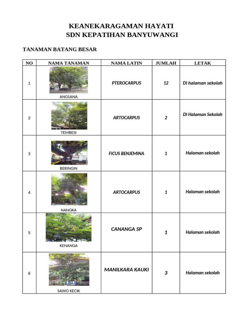 Tanaman Pohon Besar Keanekaragaman Hayati SDN Kepatihan | PDF