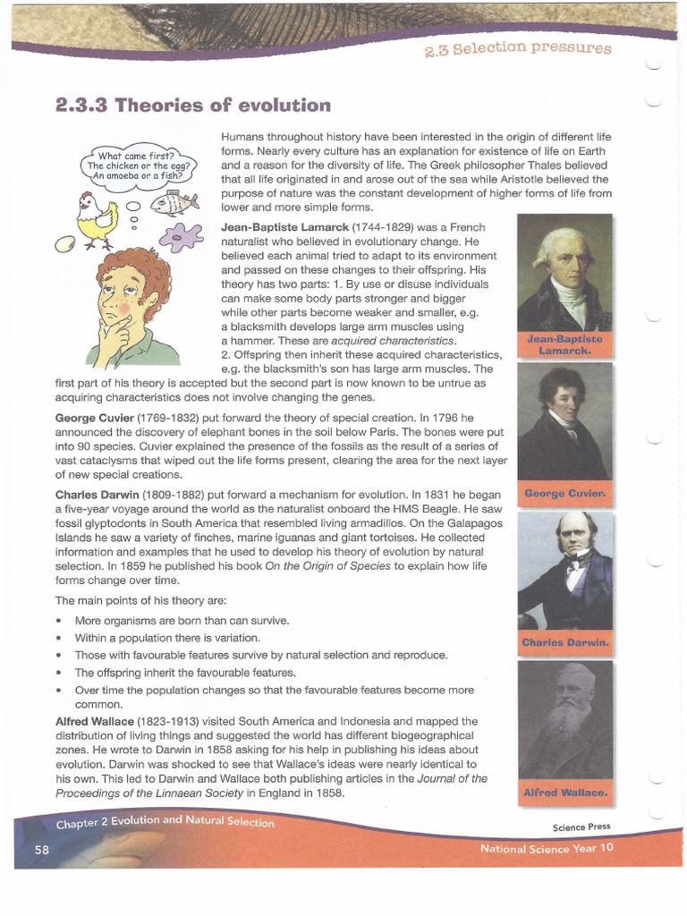 Theories of Evolution Form | PDF