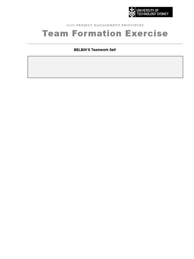 BELBIN's Teamwork Self | PDF