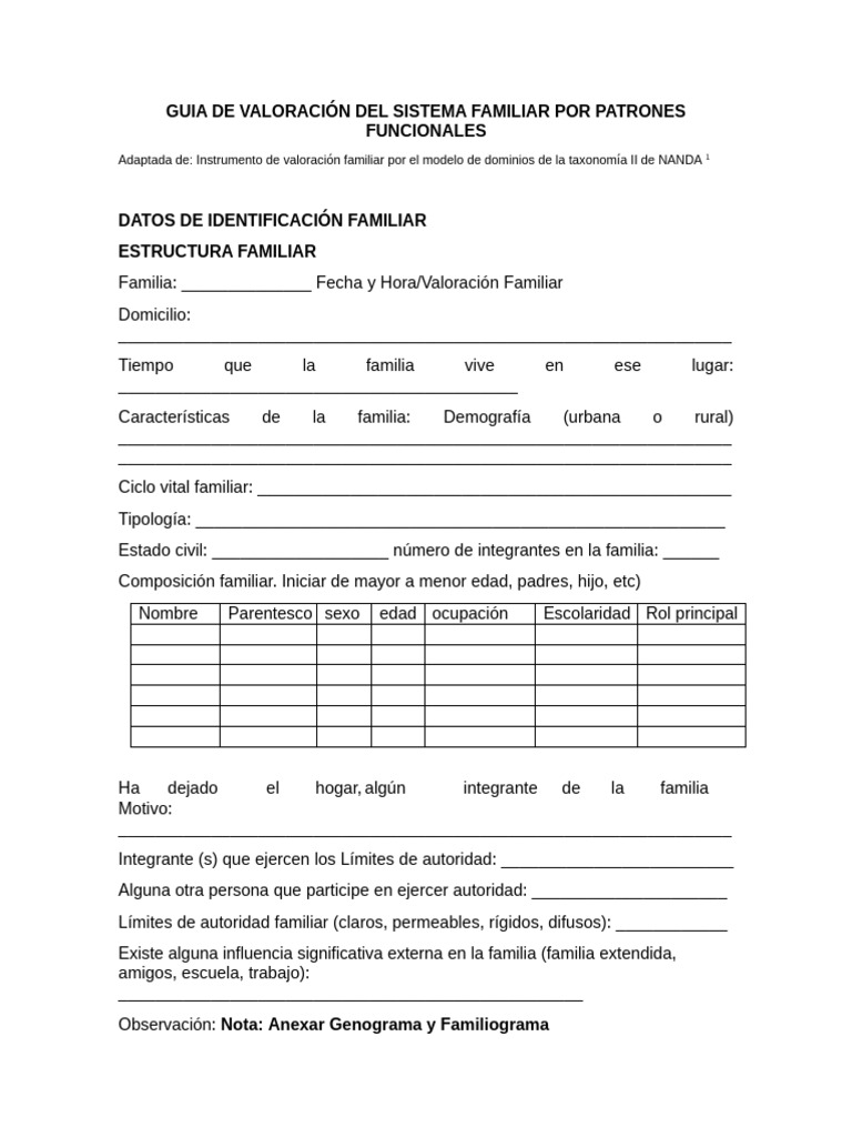 Guia de Valoración Del Sistema Familiar Por Patrones Funcionales | PDF