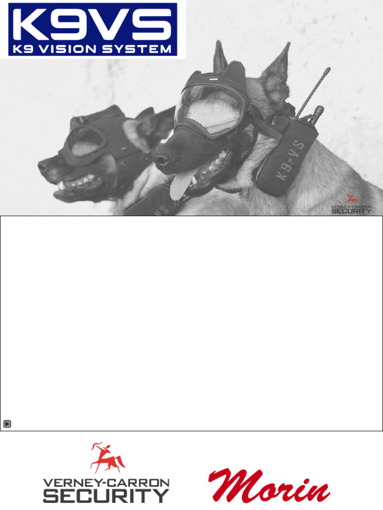 บรรยาย K9 vision | PDF