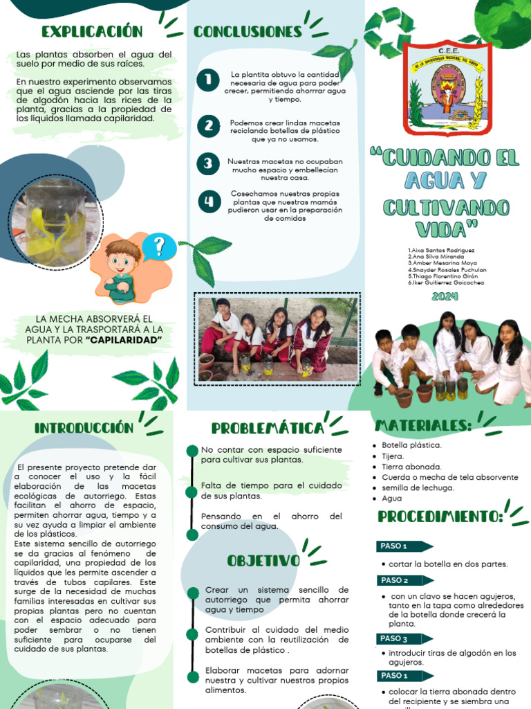 Tríptico Informativo Del Día Mundial | PDF