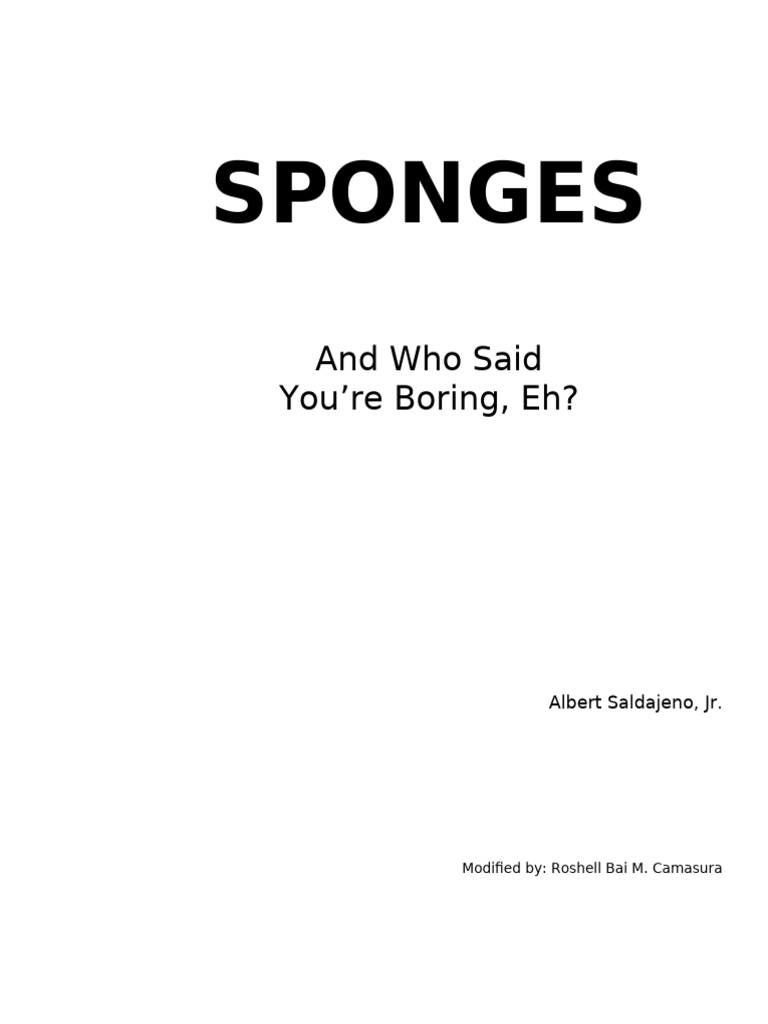 SPONGES | PDF
