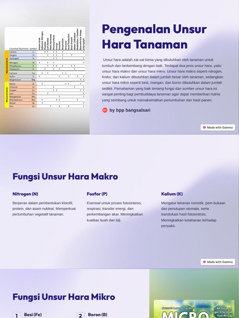 Pengenalan Unsur Hara Tanaman | PDF