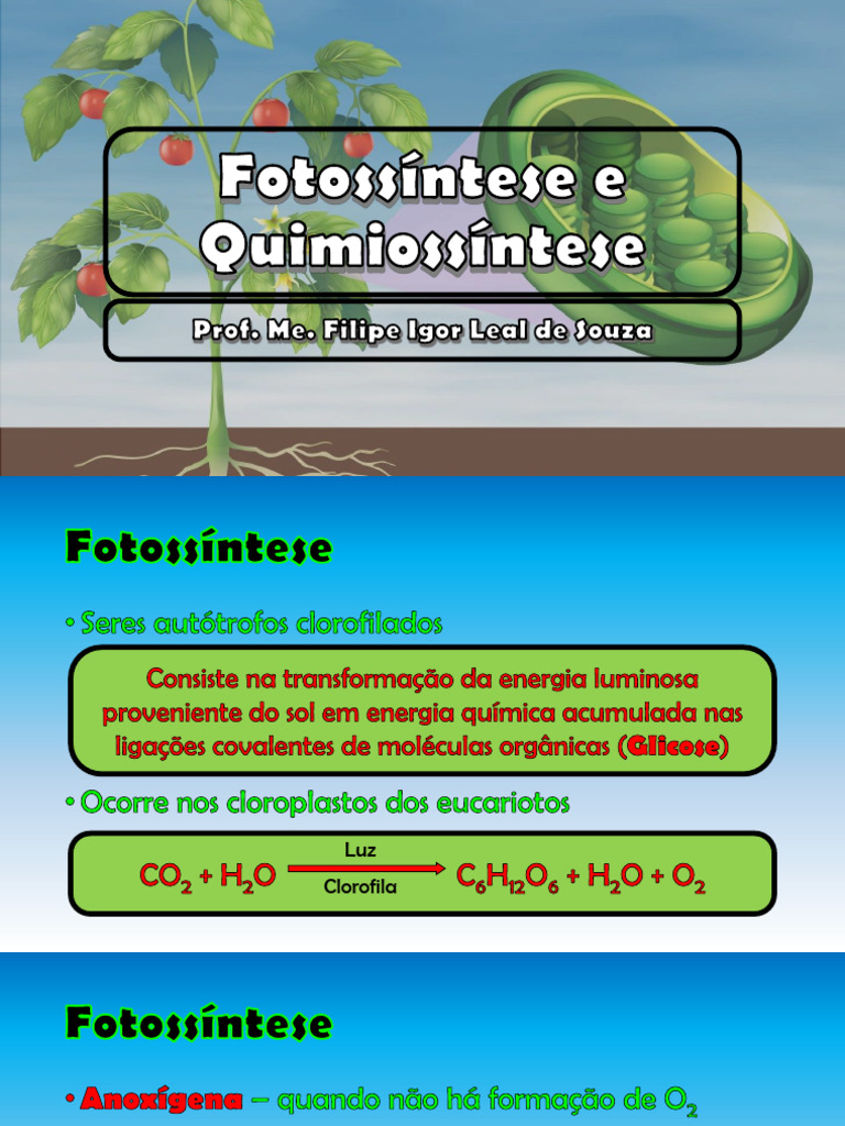 Fotossíntese e Quimiossíntese | PDF