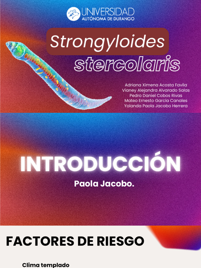Strongyloides Stercolaris | PDF
