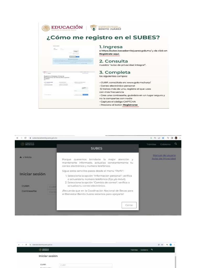 Pasos para Proceso de Subes 2024 | PDF