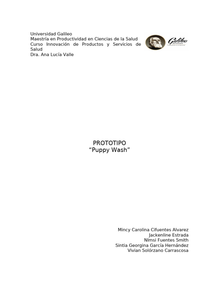 PROTOTIPO | PDF