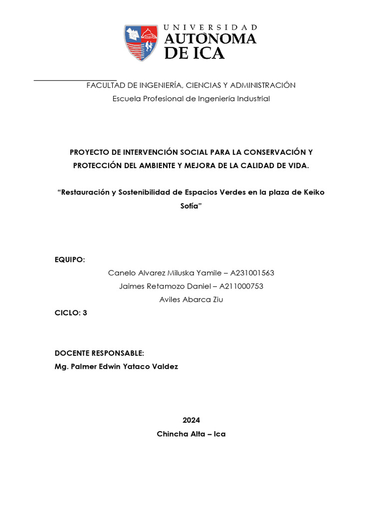 Proyecto de Intervención Social-Final | PDF
