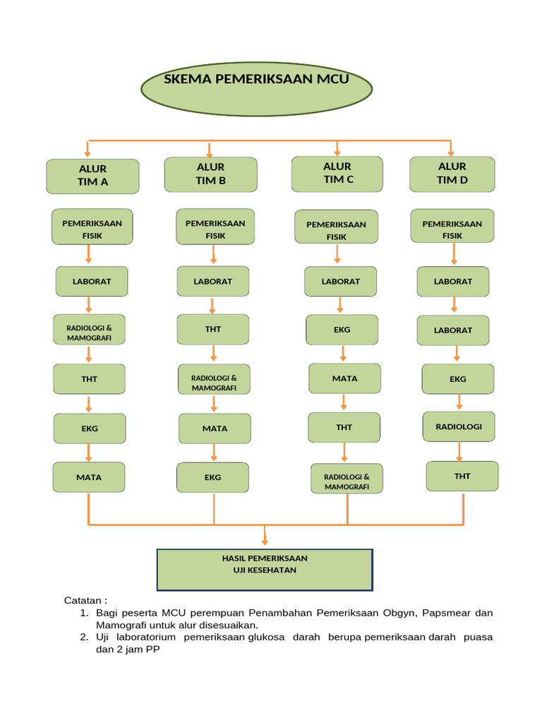 Skema Pemeriksaan Mcu | PDF