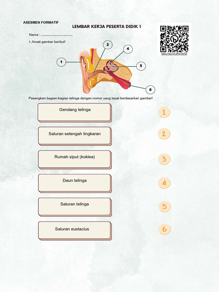 6773 Asesmen Winda Triana | PDF