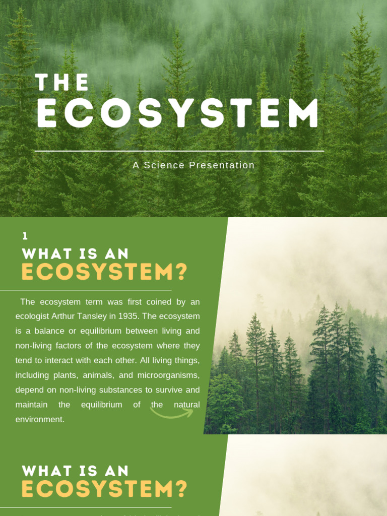 Ecosystem Geography Social Science Fun Photo School Project ...