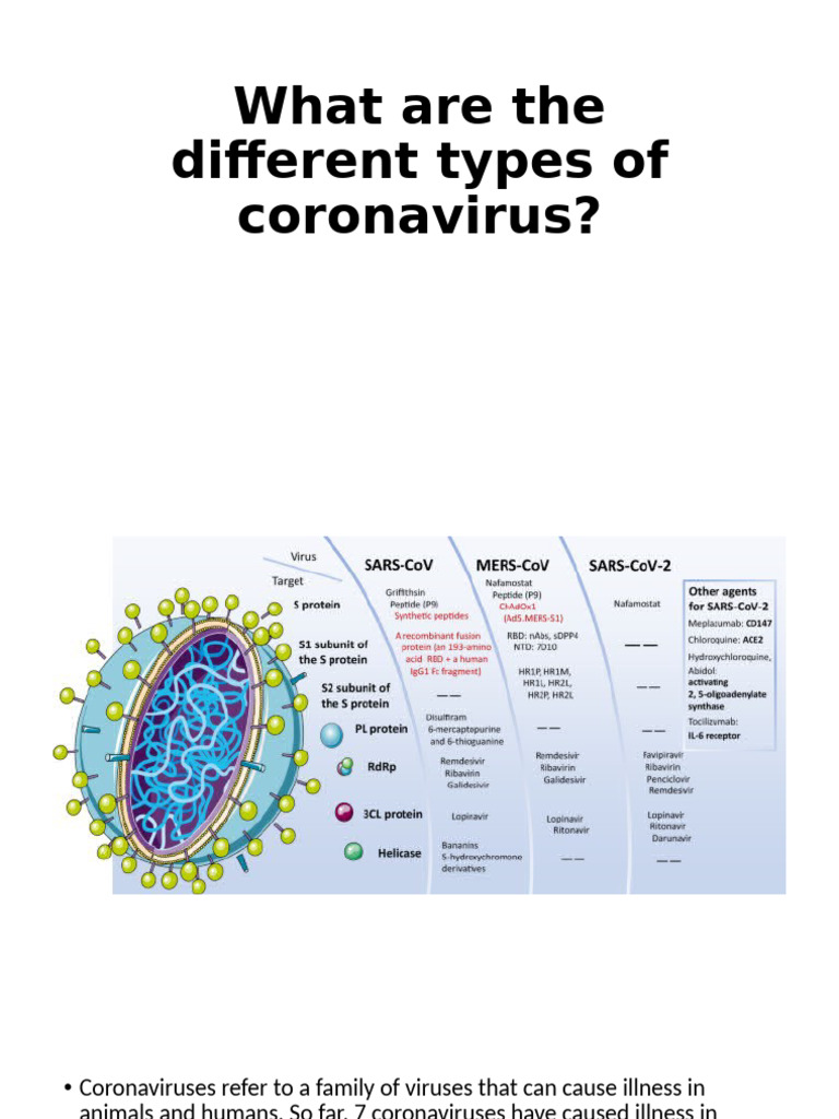 What Are The Different Types of Coronavirus | PDF