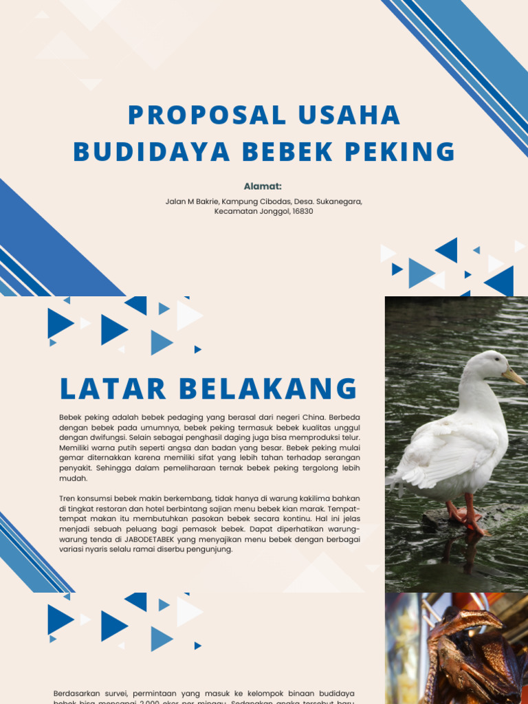 Proposal Usaha (Budidaya Bebek Peking) | PDF
