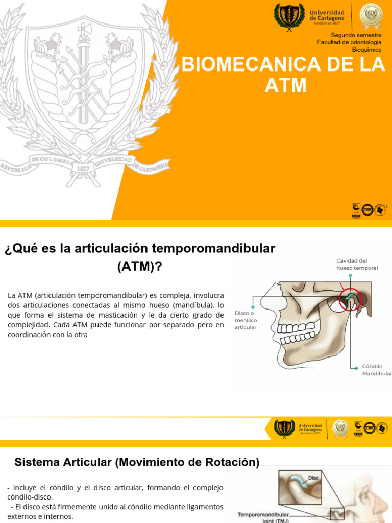 Biomecanica de La Atm | PDF