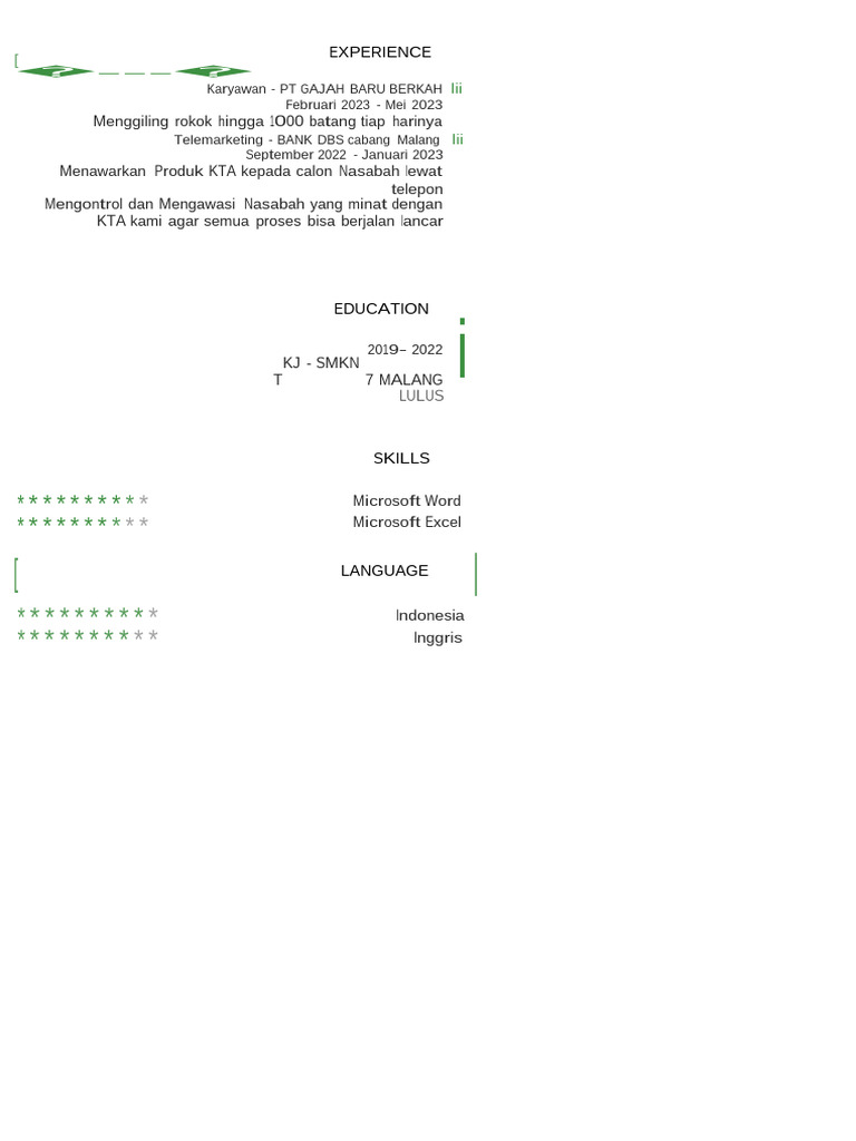 Adel Cantik - CV | PDF