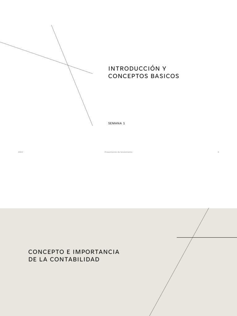 Introducción y Conceptos Básicos | PDF