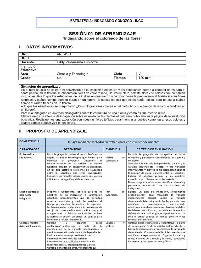Sesión 1 - Estrategia INCO | PDF
