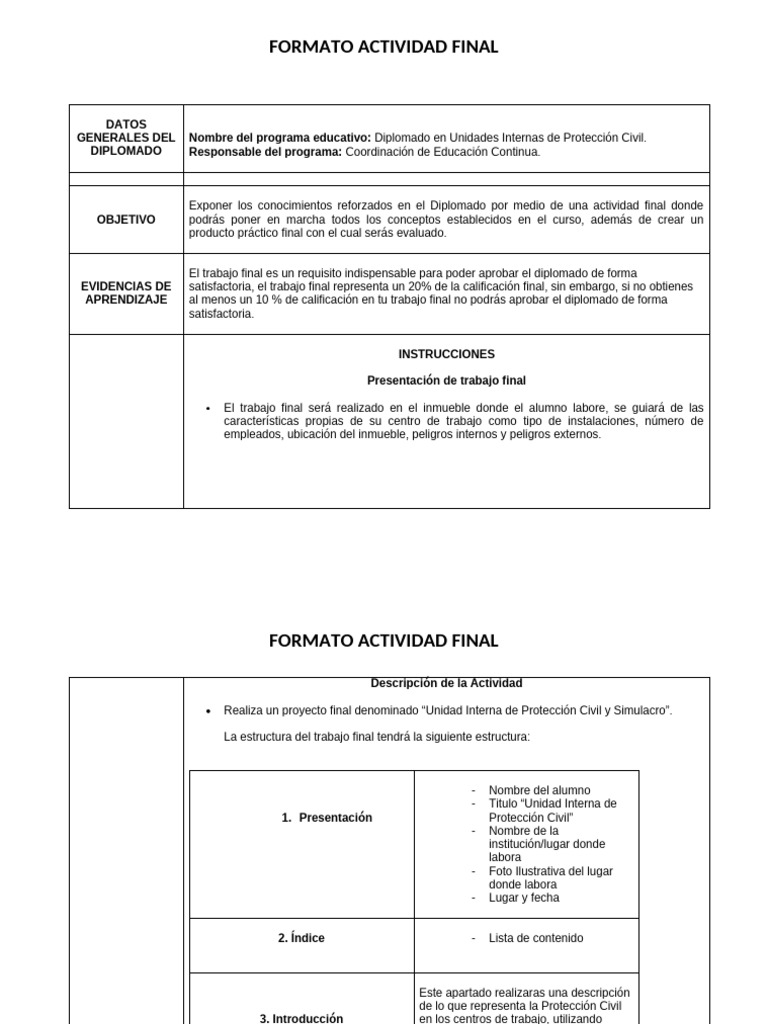 Formato Actividad Final | PDF