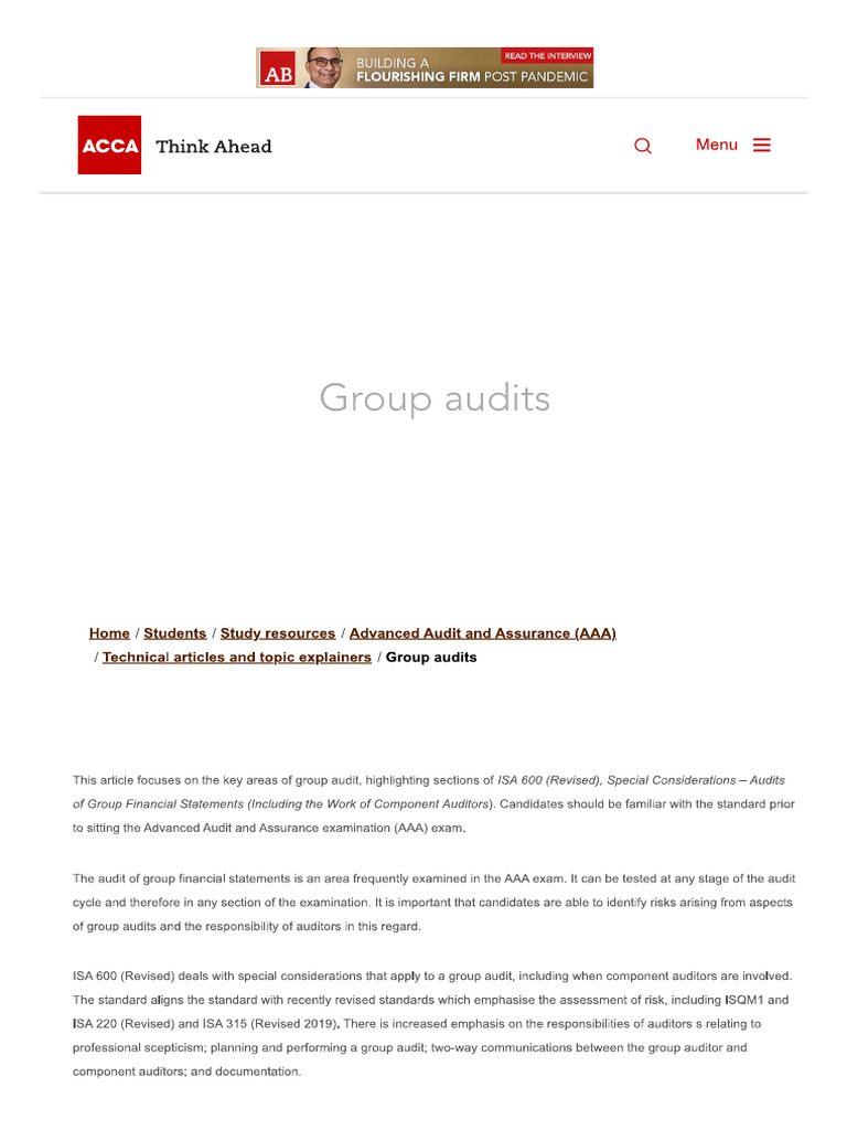 Group Audit | PDF