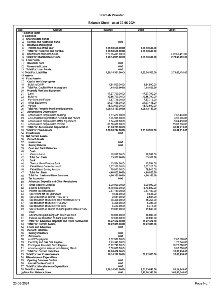 Balance Sheet 2023 2024 Pdf