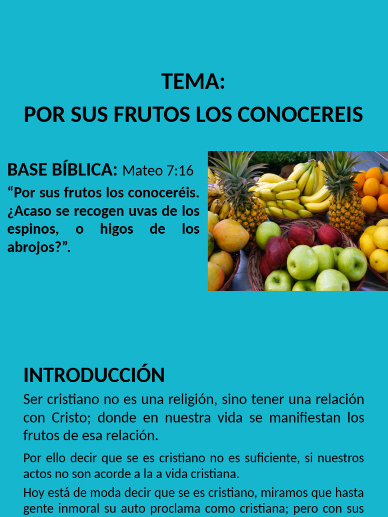 Leccion 16 Por Su Fruto Los Conocereis | PDF