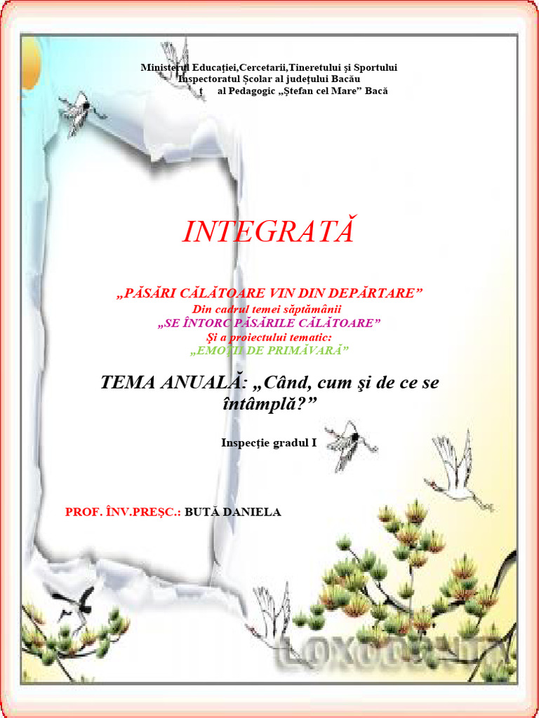 Proiect Preinspectie-Gradul 1-Bută Daniela | PDF