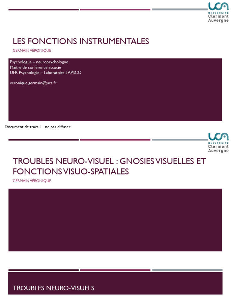 NP FonctionsInstru VisuoSpatial Gnosies | PDF